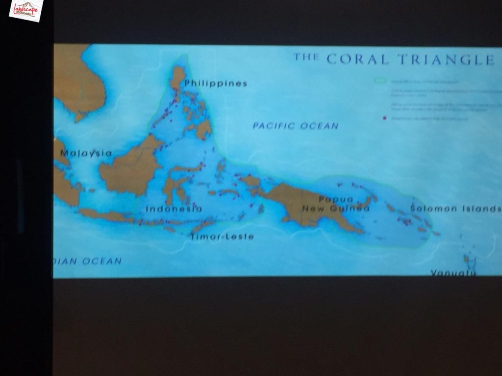 A Journey Of A Lifetime: The Coral Triangle Photo Expedition